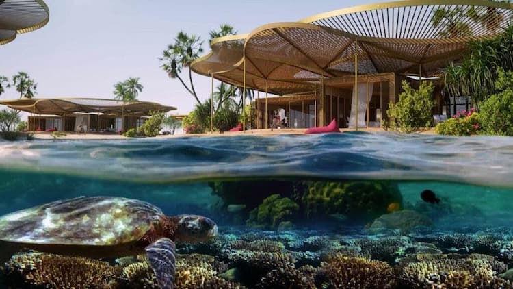 The Red Sea Development | Saudi Arabia ABC